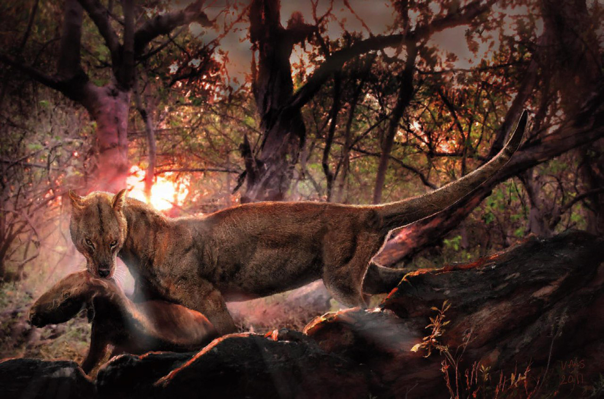 The Magic cafe: Исчезнувшая Южная Америка Велизара Симеоновски. Часть ...