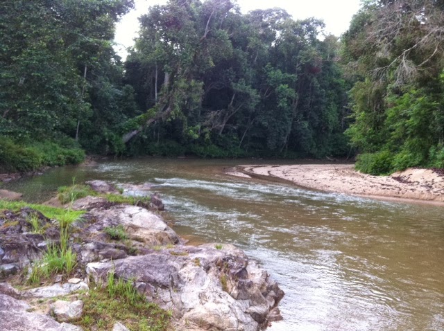 Bits and Pieces: Back To Nature in Kg Pasir Raja, Dungun, Terengganu