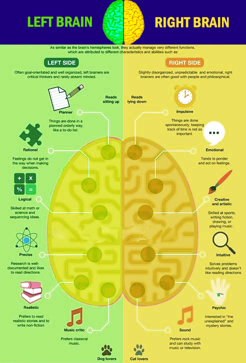 DATASPOT: Left Vs Right Brain Function