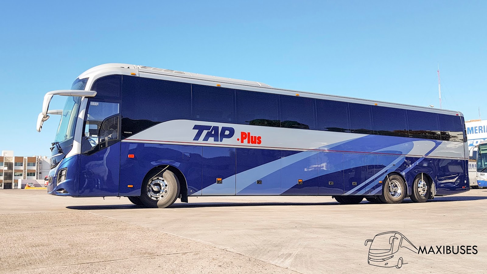 MAXIBUSES: TRANSPORTES Y AUTOBUSES DEL PACÍFICO, PLUS (TAP)