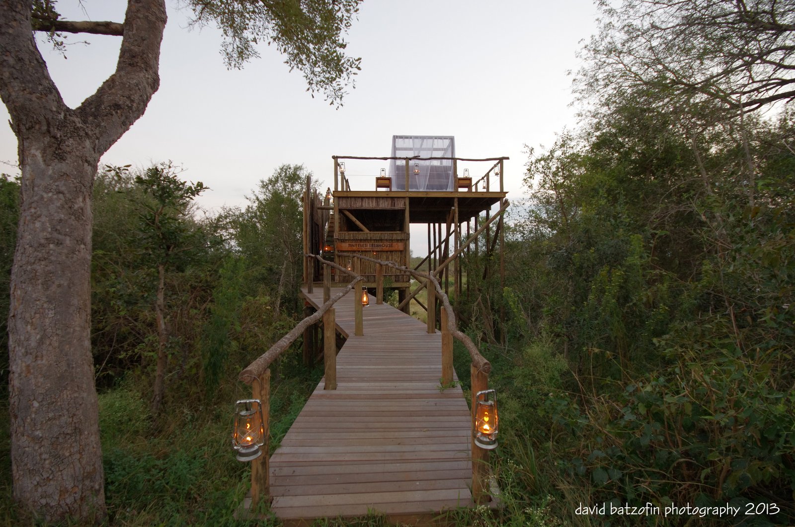 Me Tarzan, you Jane? We spent a night in the Tinyeleti Tree House ...