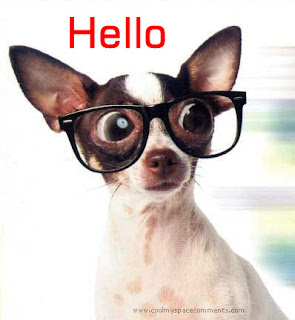 Funny Pictures: Funny Hello