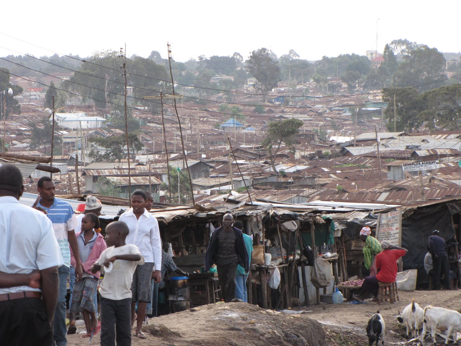 Dave's East Africa Blog: Seven days to go