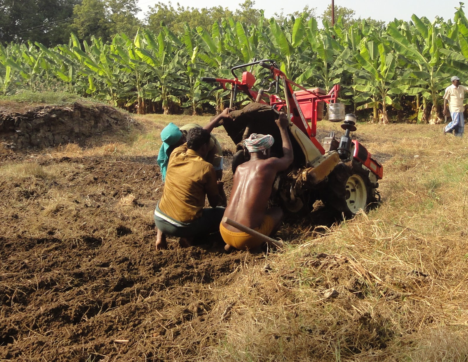 NGO News blog, NewsLine: Tilling performs all of the soil building ...