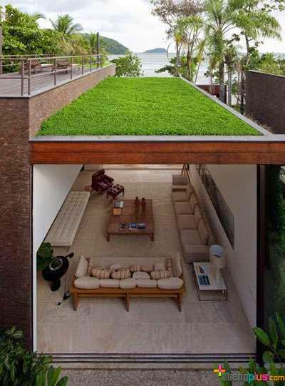 Uniknya Membuat Taman di Atap Rumah - Ragam Tanaman
