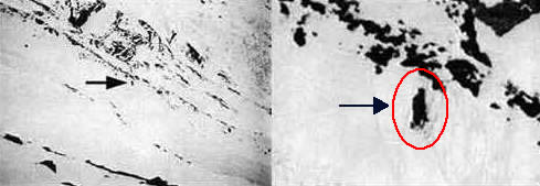 Blog Misteri Tesla: Legenda Yeti