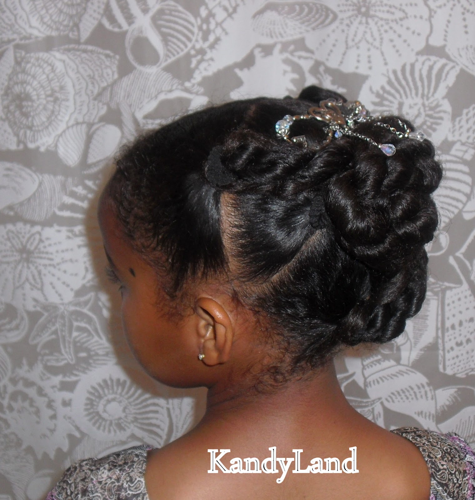 KandyLand: Party Bun