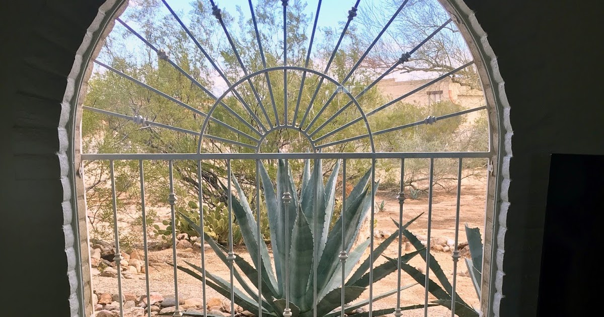 The Daily Rant: The Hostile Living Conditions Of The Desert