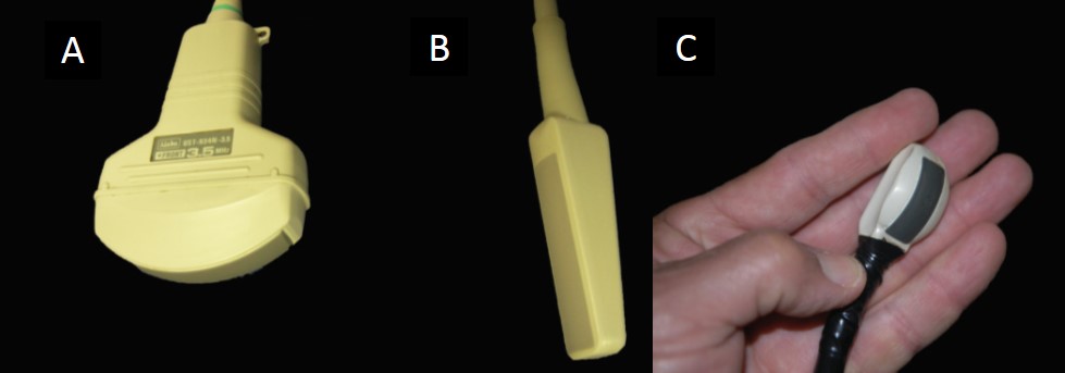 Ultrasonography (Usg) dan Aplikasinya Pada Pemeriksaan Organ Reproduksi ...
