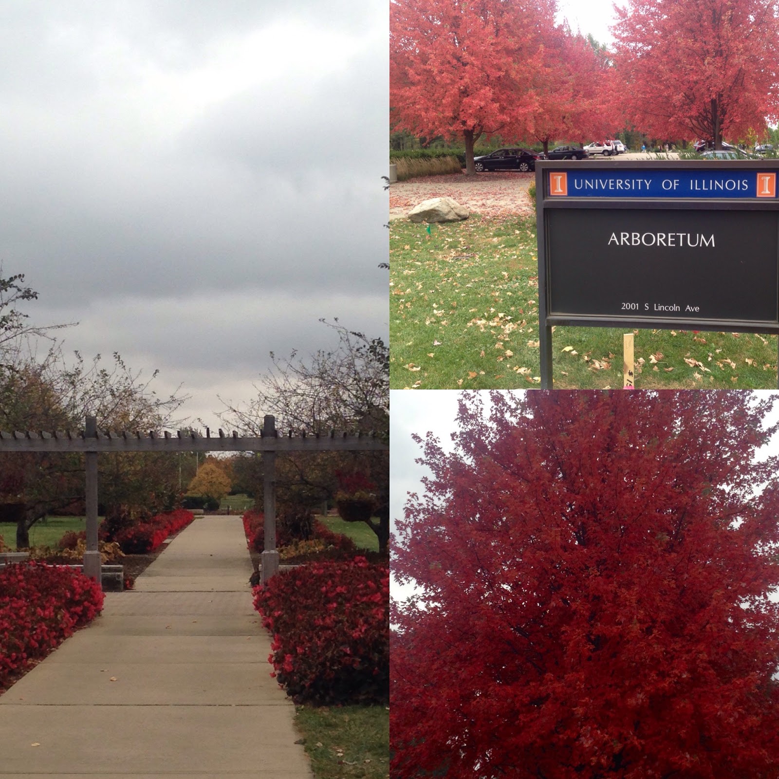 Amy's Creative Pursuits: The University of Illinois Arboretum