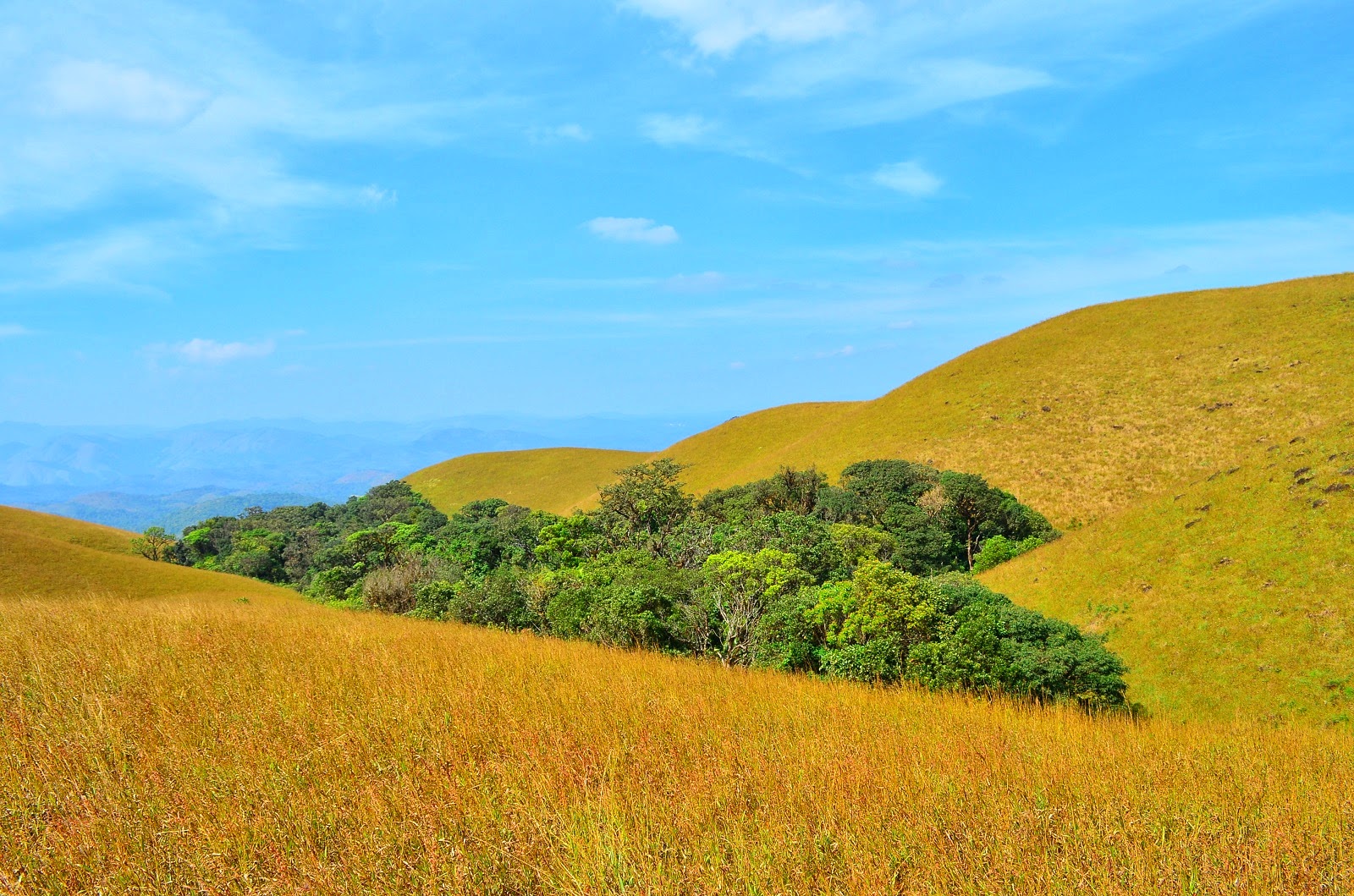 Sharath Hassan A Travelling Photographer: JENUKALLU GUDDA (JENUKAL ...