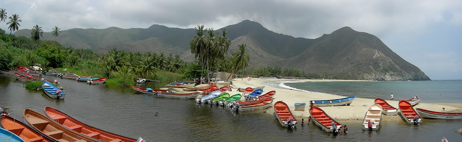 Fine Criolla Cacao...