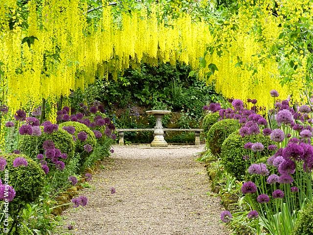 Almost Wordless Wednesday - Magnificent May displays