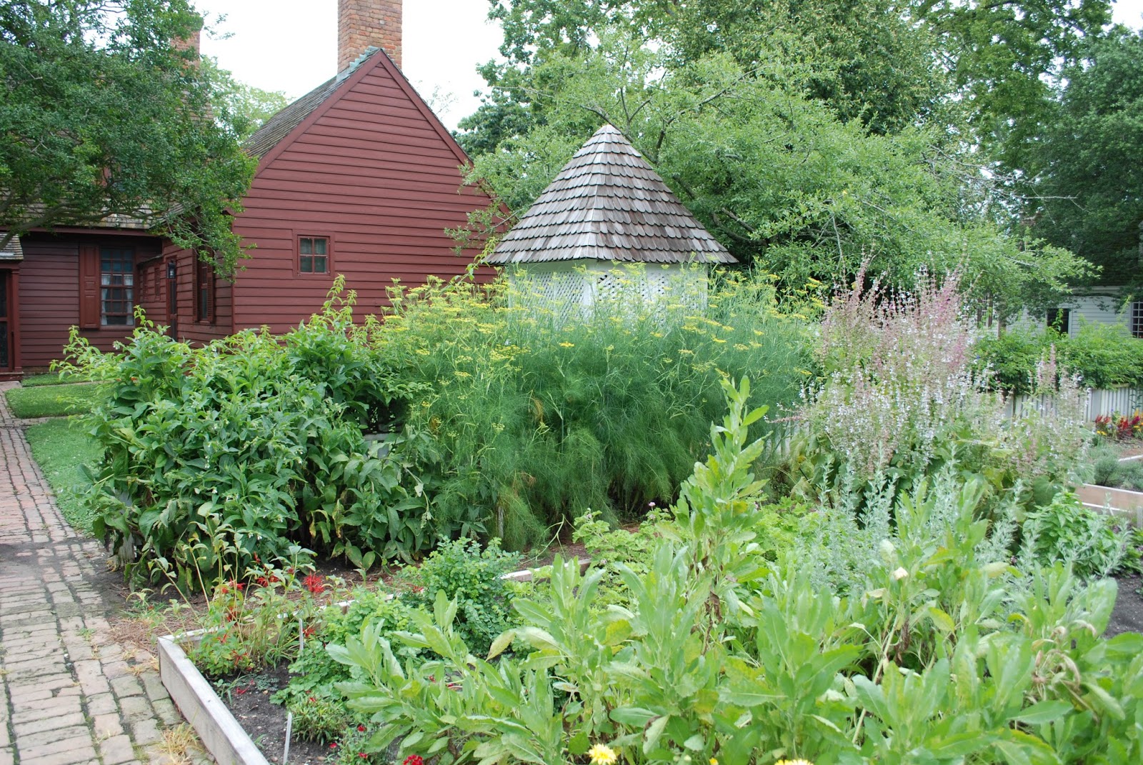 Plants and Containers: Gardens at Colonial Williamsburg and Monticello