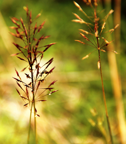 2017 - Life's a treat