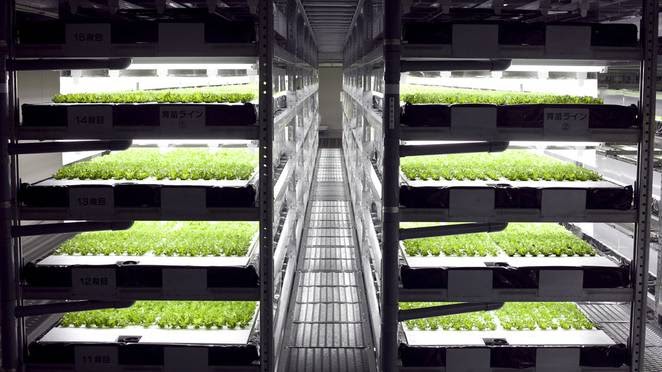 Jordan's Eng 121-503 Blog: Vertical Farming Explained
