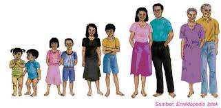 7 Human Development Phase | Tips Healthy