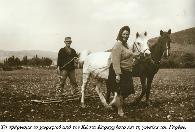 Πολύδροσος Παρνασσού: ΩΔΗ ΣΤΗΝ ΕΛΛΗΝΙΔΑ ΑΓΡΟΤΙΣΣΑ ΜΑΝΑ, ΝΟΙΚΟΚΥΡΑ ...