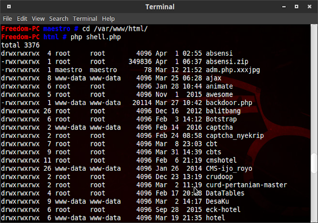 Menjalankan Perintah Terminal Dengan Fungsi PHP SHELL_EXEC | Script ...