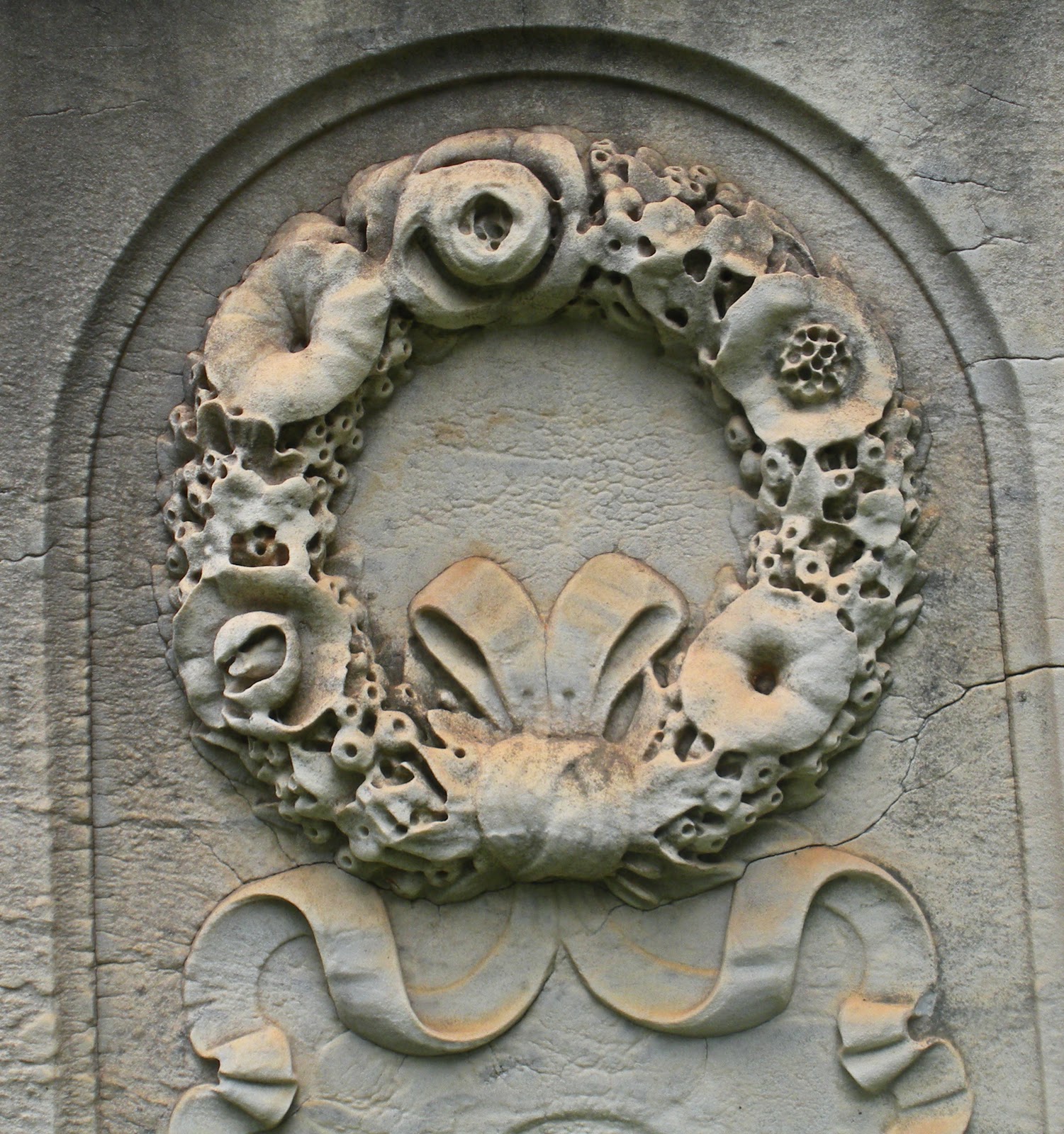 Engraved: : Convoluted Convoluvus