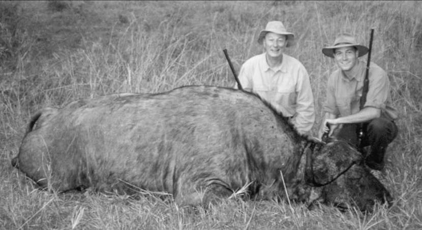 Stuart Anderson Wheeler: Cape Buffalo and double rifles