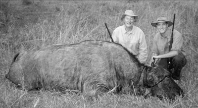 Stuart Anderson Wheeler: Cape Buffalo and double rifles