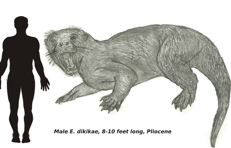 Escenarios prehistóricos: Enhydriodon