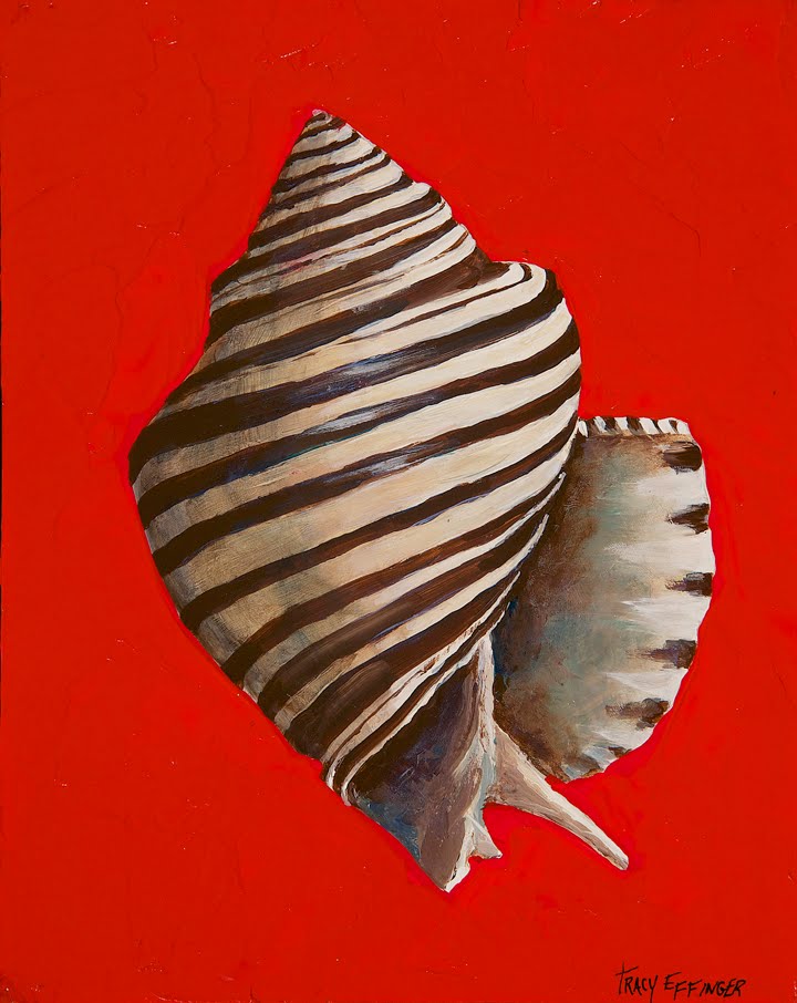 Paintings By Tracy Effinger Upton: Seashell Series On Red