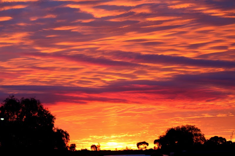Travelling Around Australia: White Cliffs Outback NSW to Charleville ...
