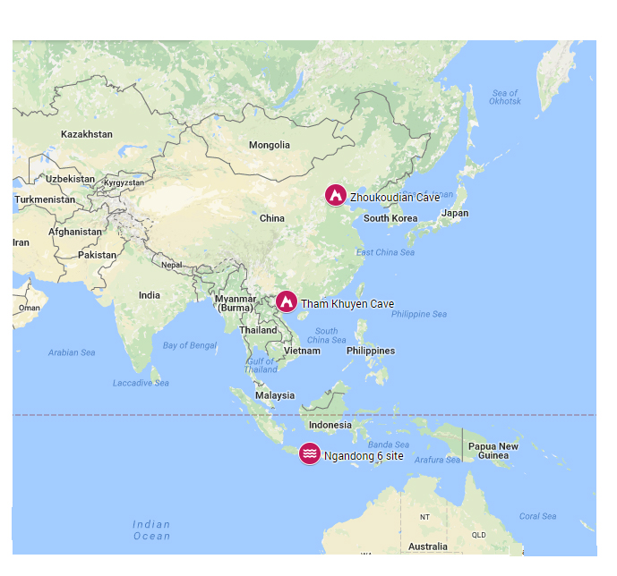 thefuzzysasquatch: Was Homo erectus the first human in the Americas 130 ...