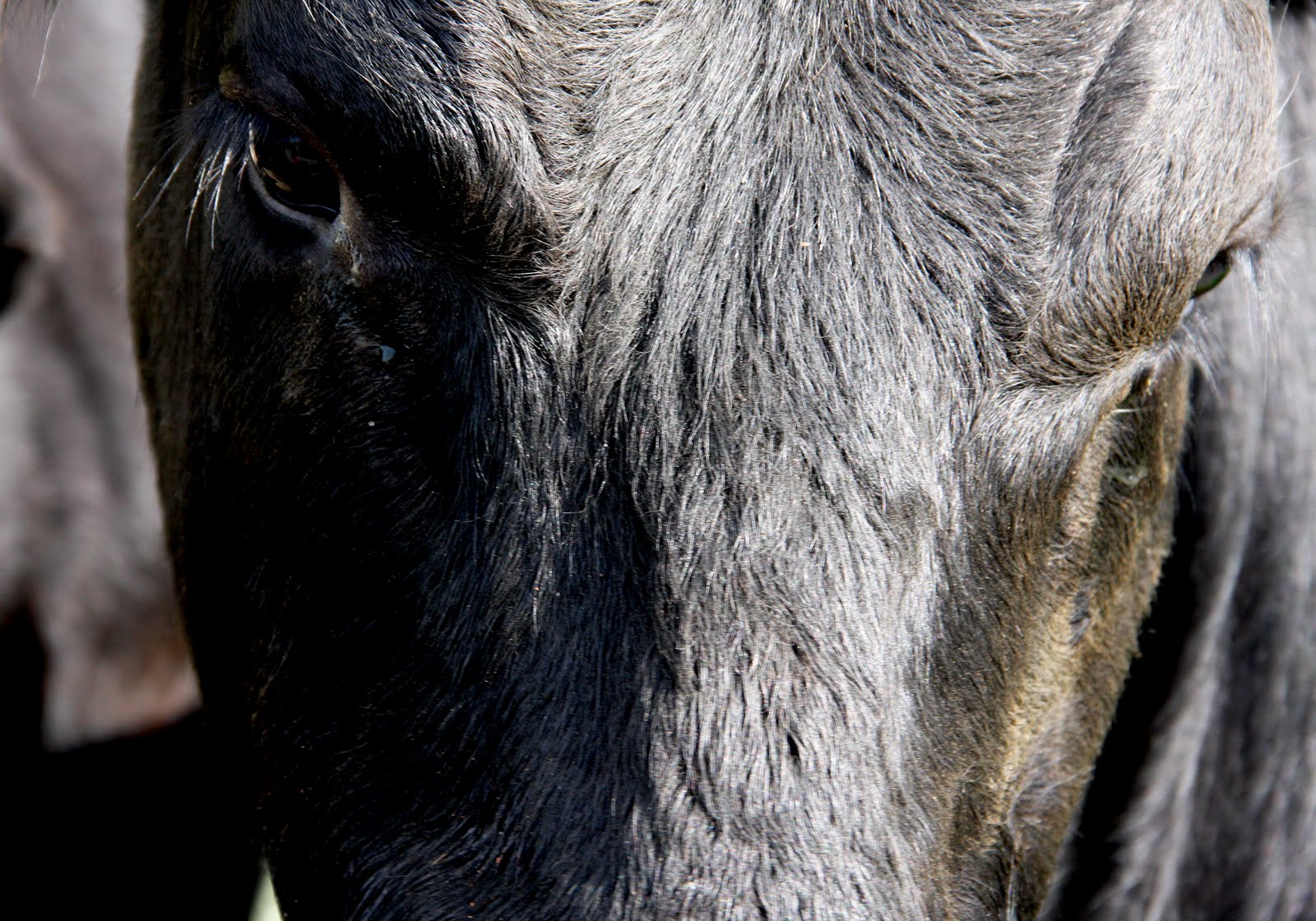 Kate Bloomfield Photography