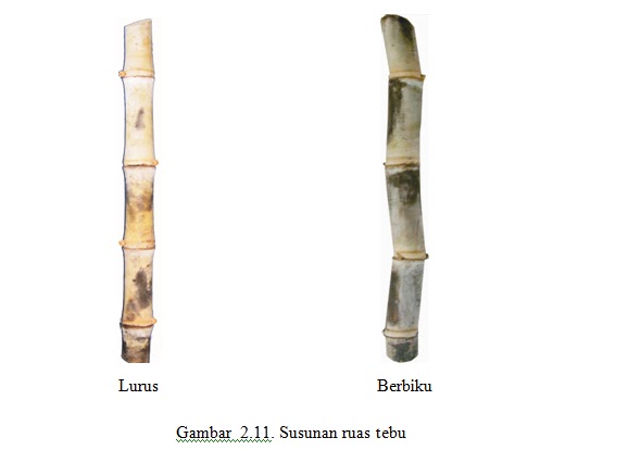 BAGIAN BAGIAN DARI BATANG TEBU | Tips Petani