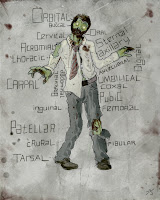 Z is for Zombies: The Science of Zombies