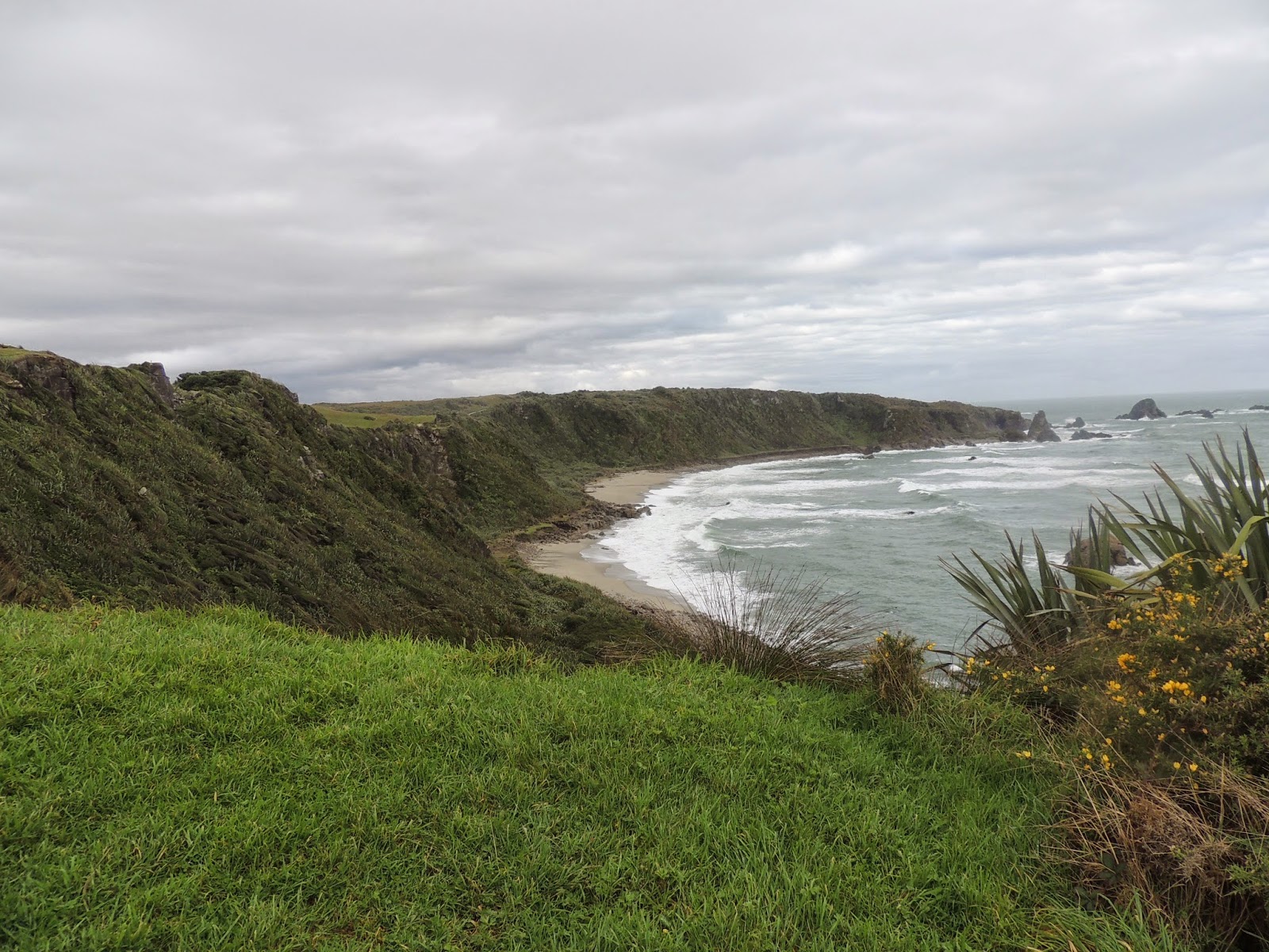THE ROAD TAKEN : Cape Foulwind: West Coast NZ