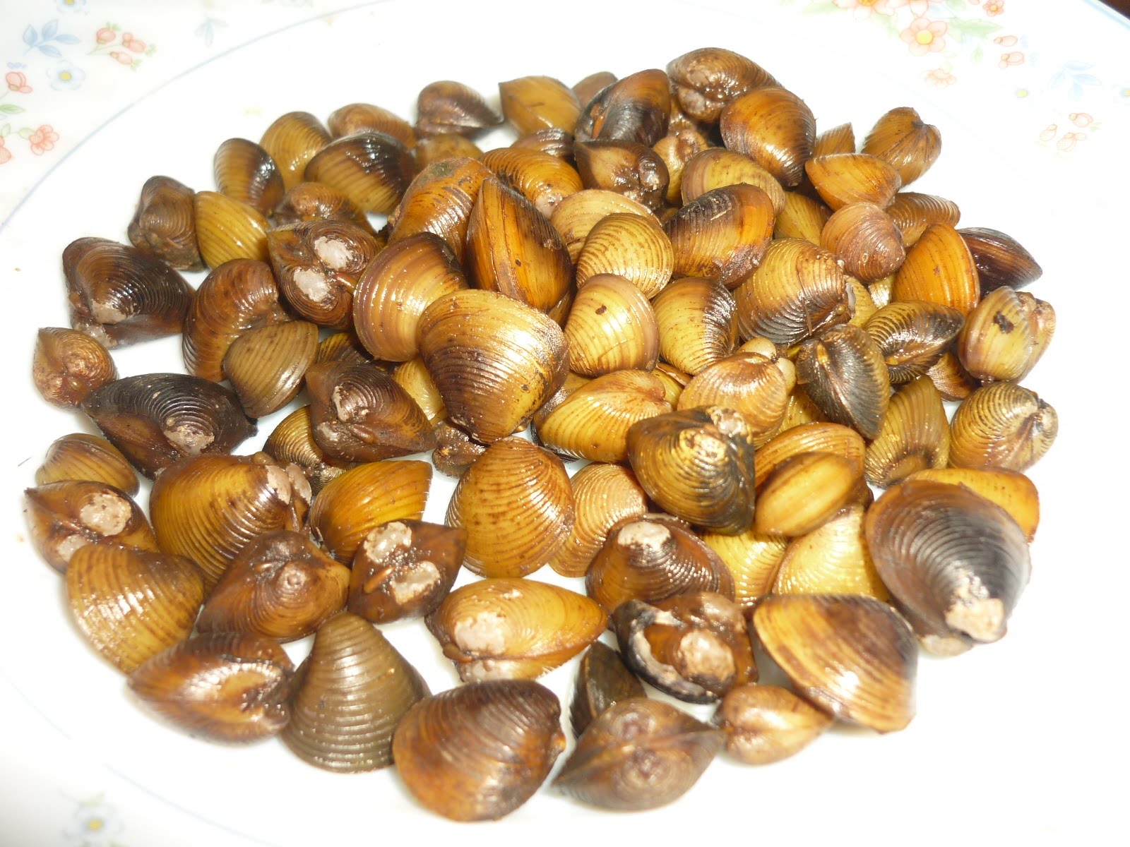 Etok Atau Etak? - AMIRNAWAWI