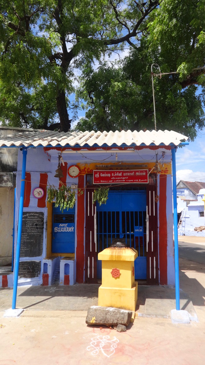 Tamilnadu Tourism: Vembadi Uchini Makali Amman Temple, Veeravanallur ...