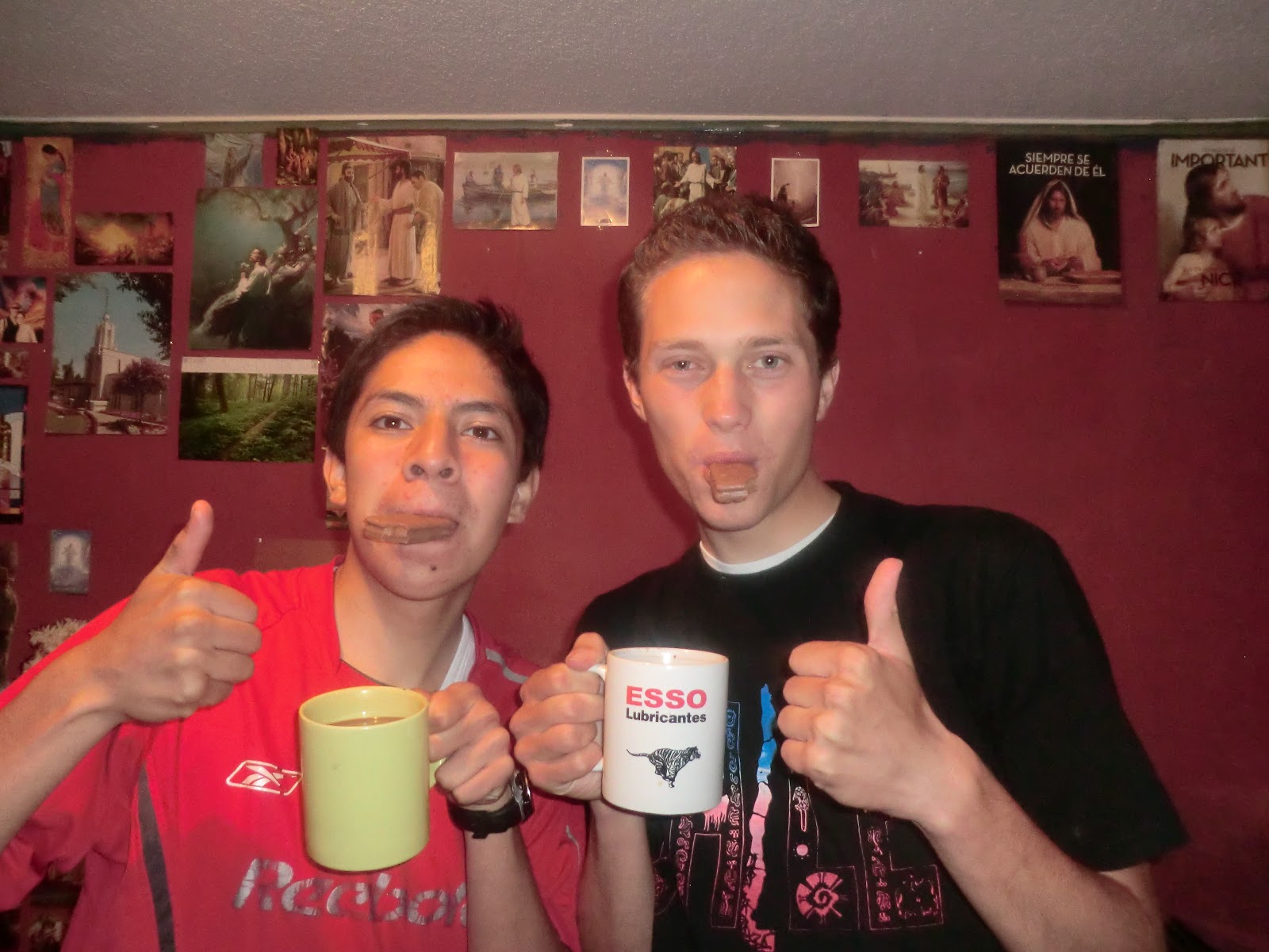 Elder Dallon Smith in Chile: Feliz Ano Nuevo!