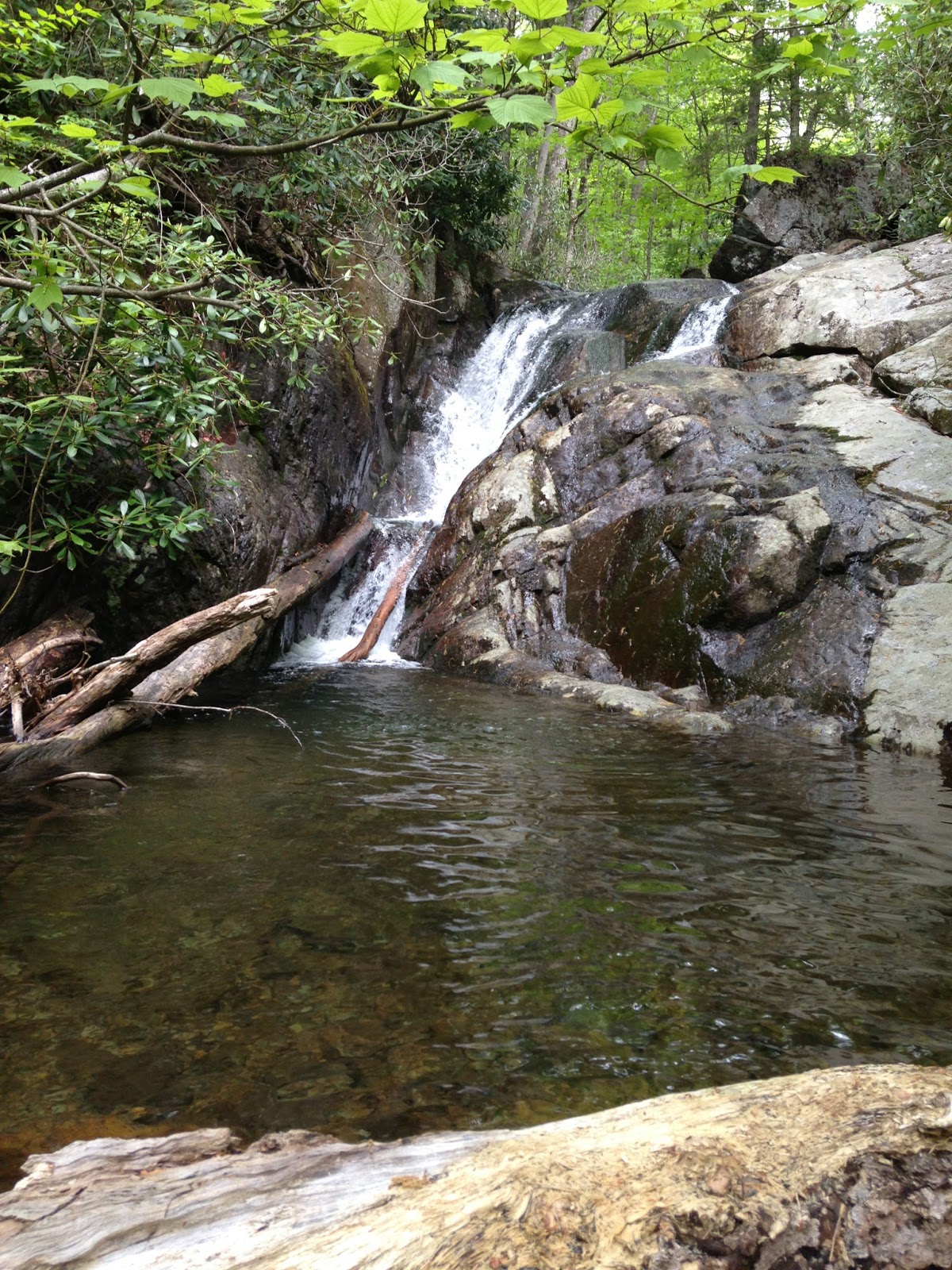 NC BACKCOUNTRY: A Day Hike at Grayson Highland State Park