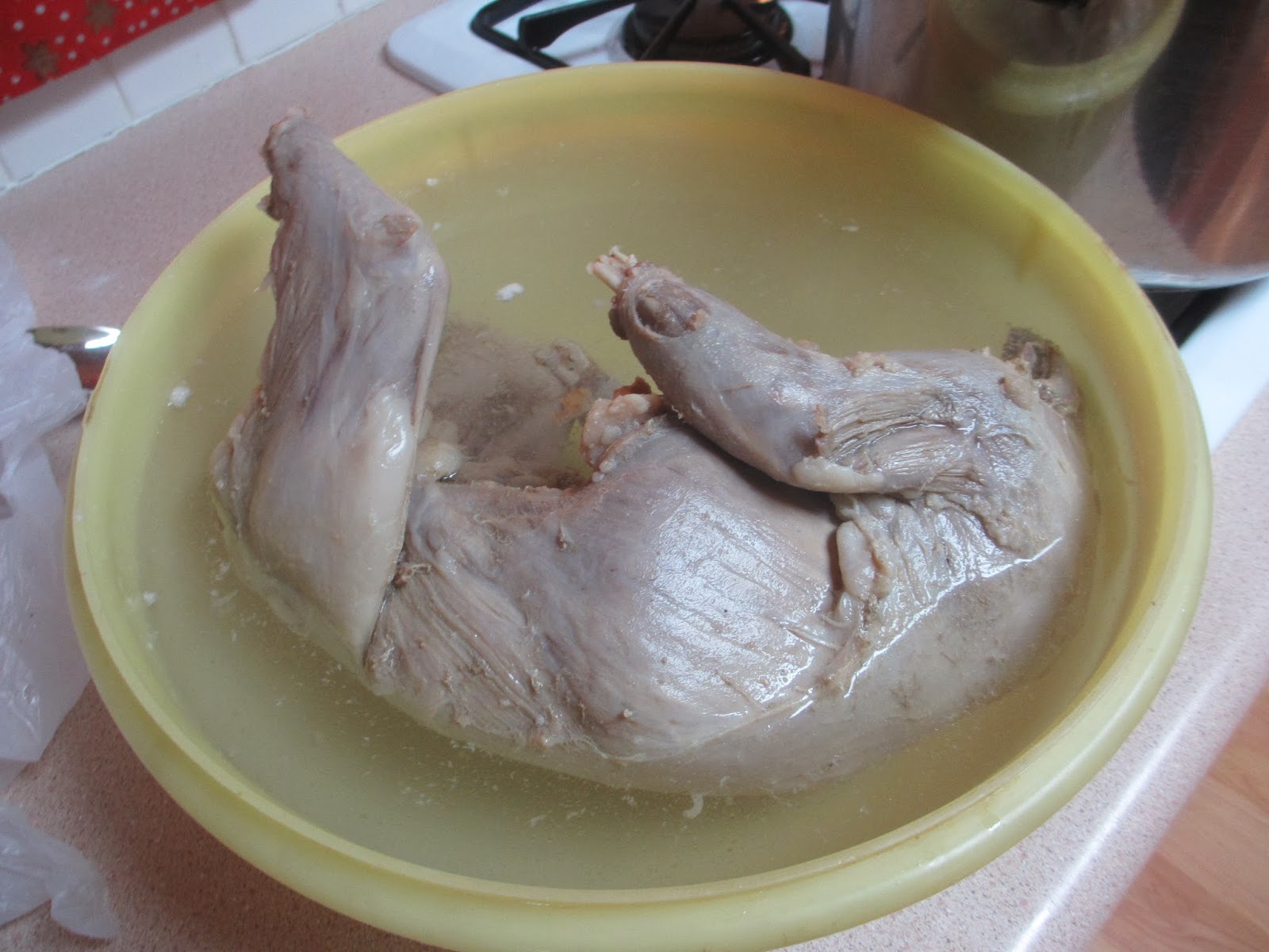 Cannundrums: Baked Opossum