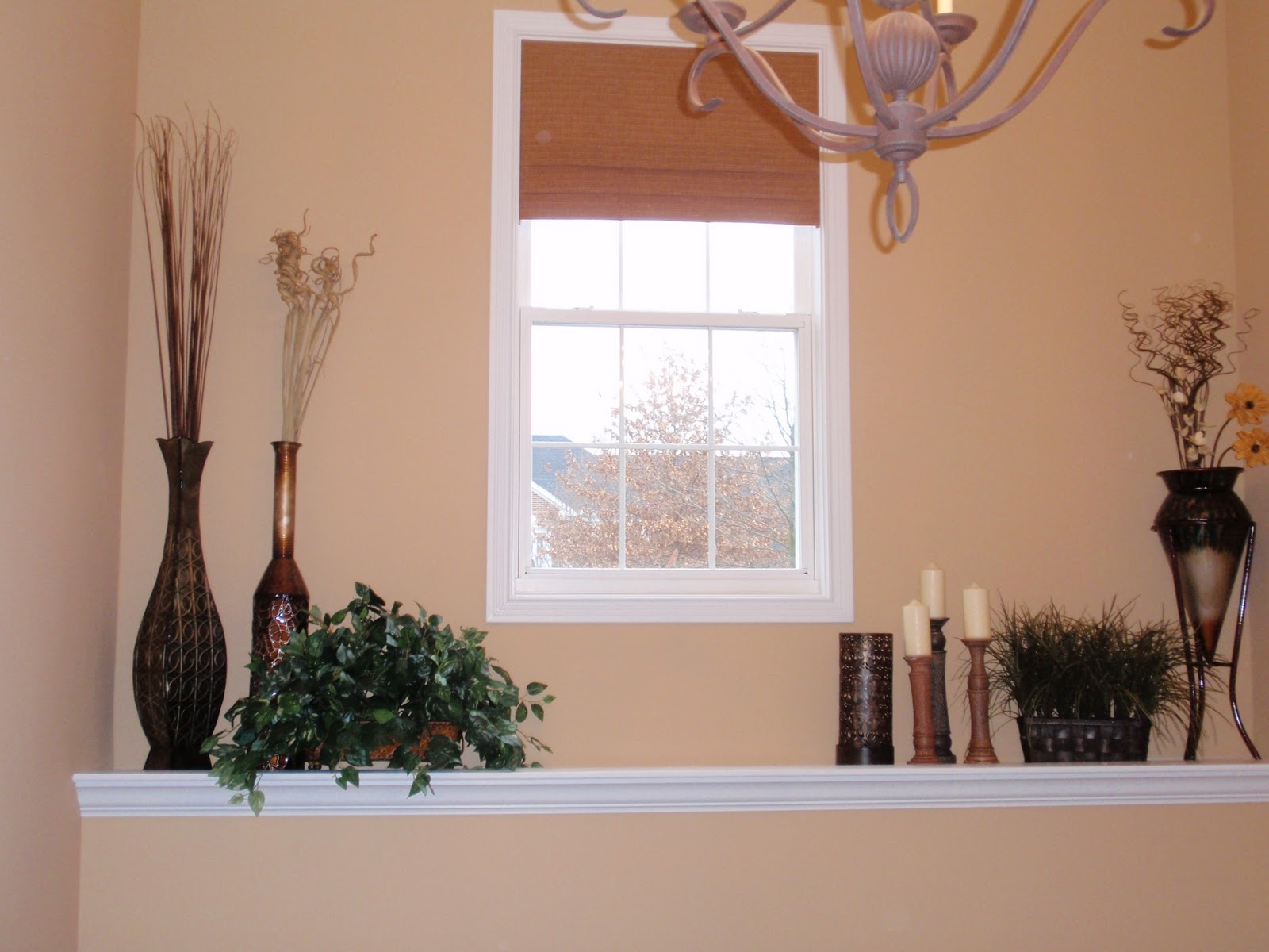 Transformed Interiors: Plant Ledge