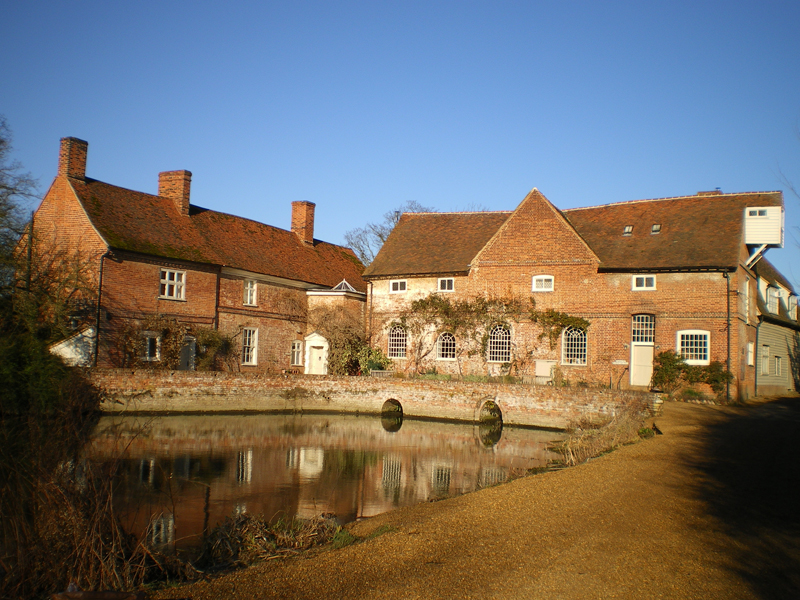 Raising Seedlings: February 2012