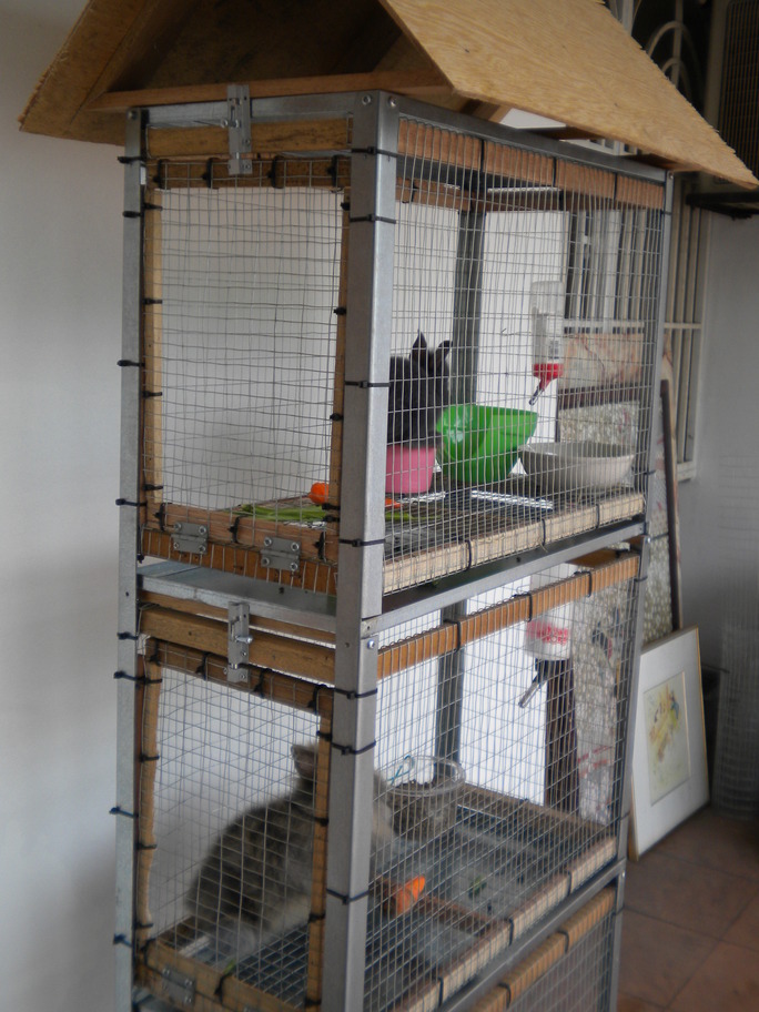 Hyllis rabbit hutch (nail-less!) — LiveModern: Your Best Modern Home