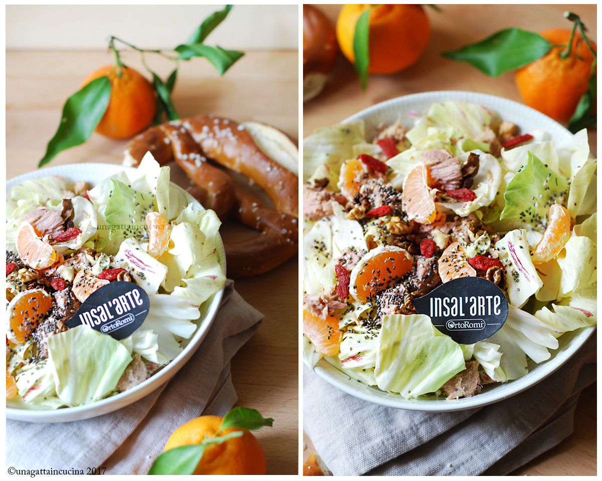 Insalata al radicchio variegato di Castelfranco, mandarini e bacche di ...