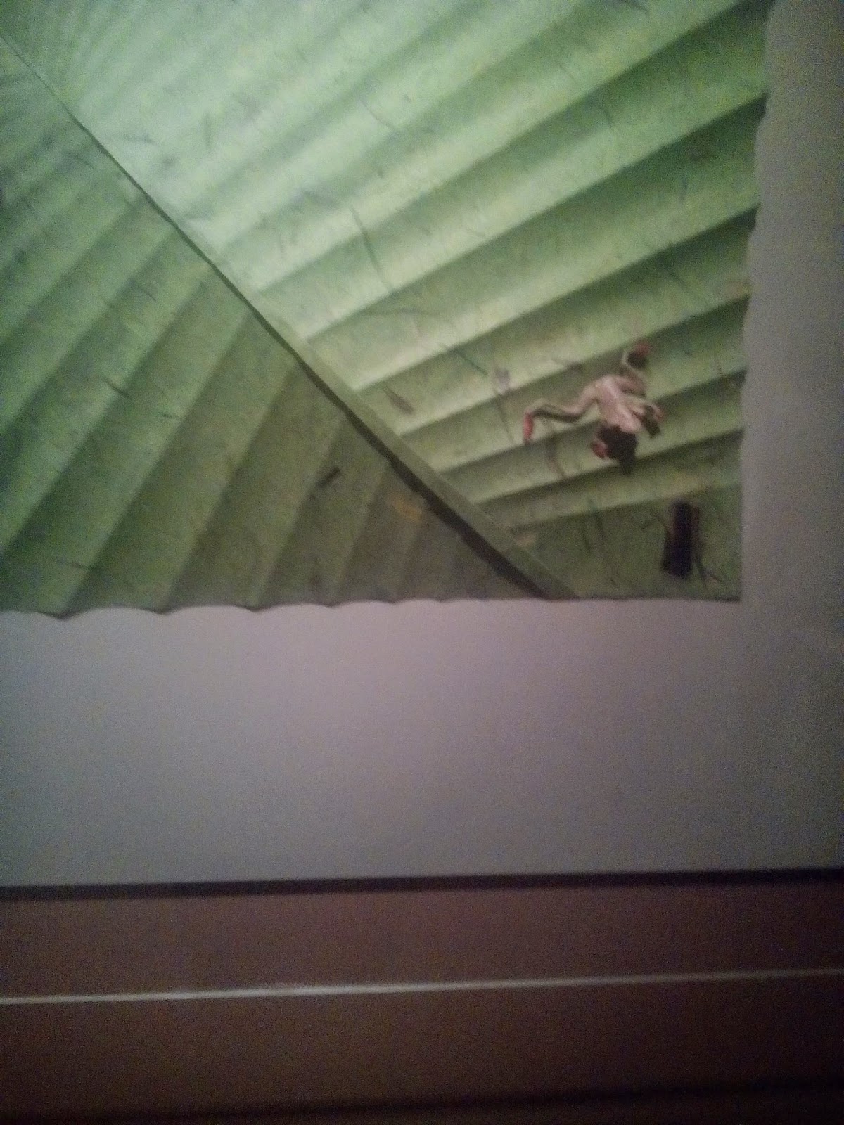 Warning this is super photo heavy ( over 50 photos)