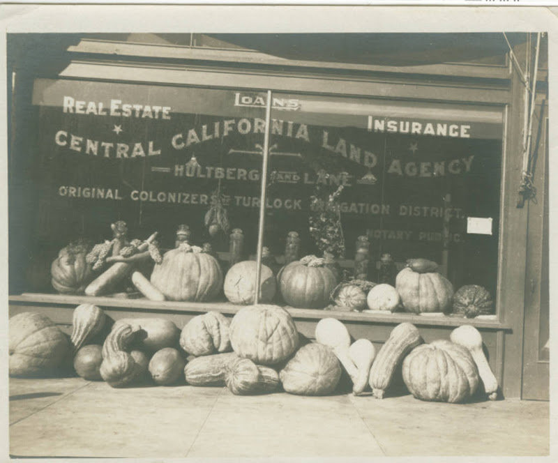 Ram Pumpkin Patch Turlock Ca - Free Software and Shareware - pixutorrent