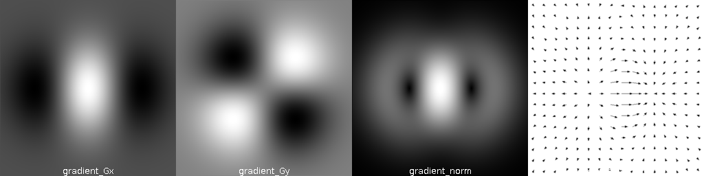 crazybiocomputing: Exploring Gradient Direction