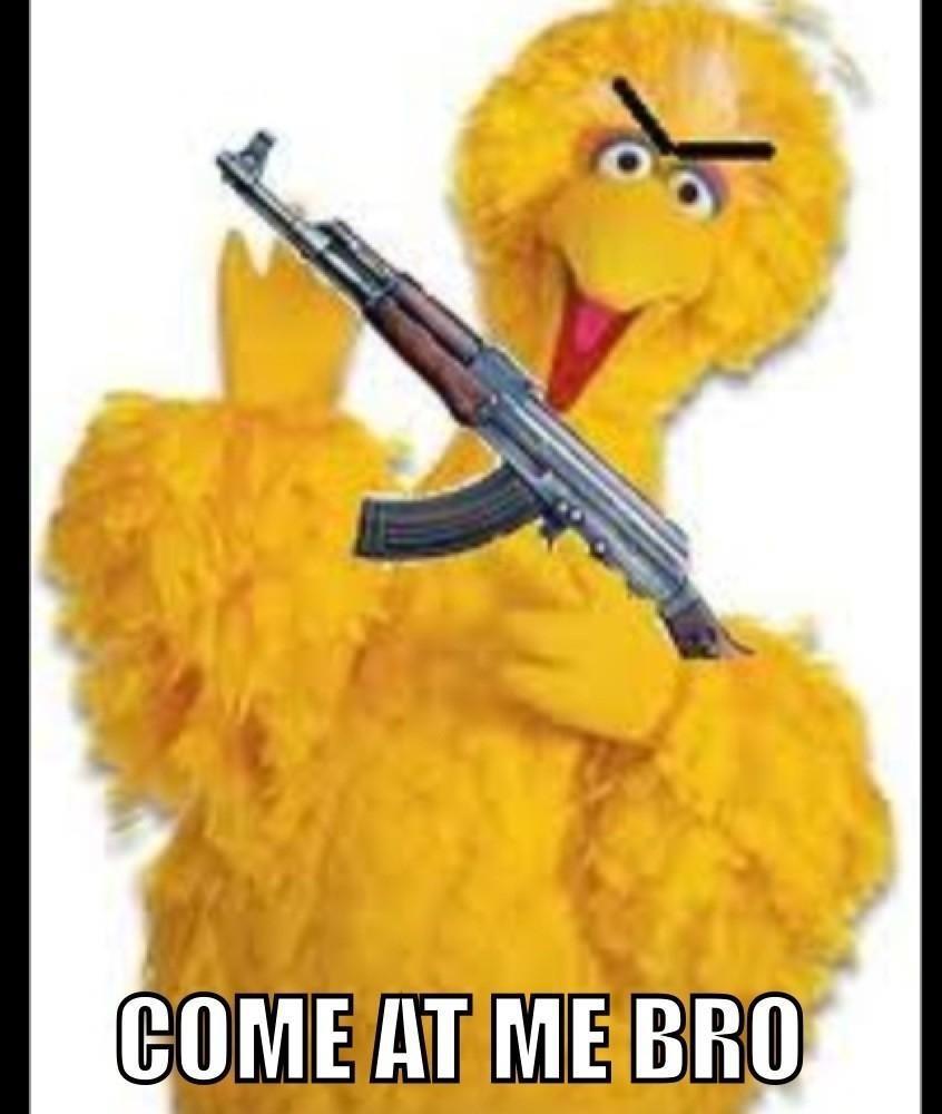 The Beauty In Politics Gun Control Big Bird Style