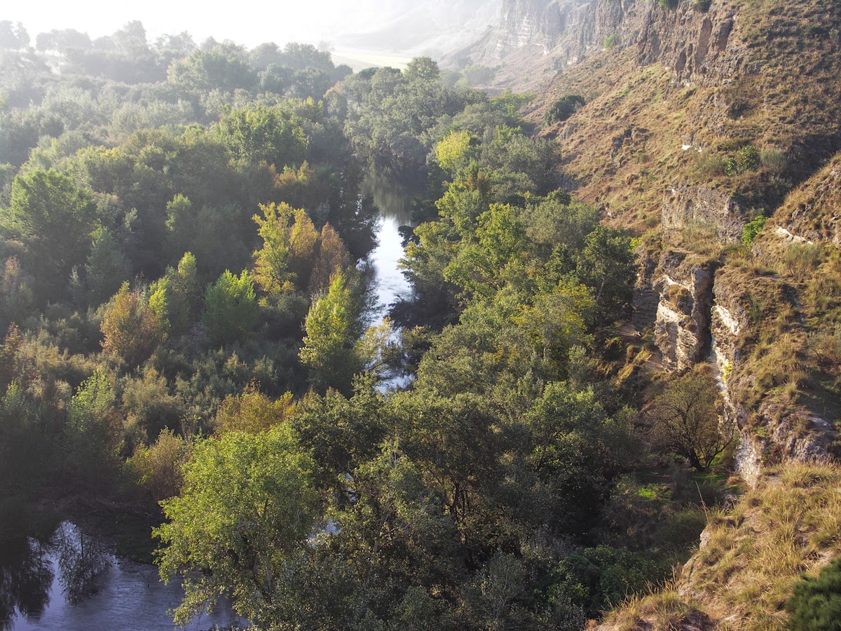 ALMANAQUE NATURAL: El Bajo Jarama en Invierno