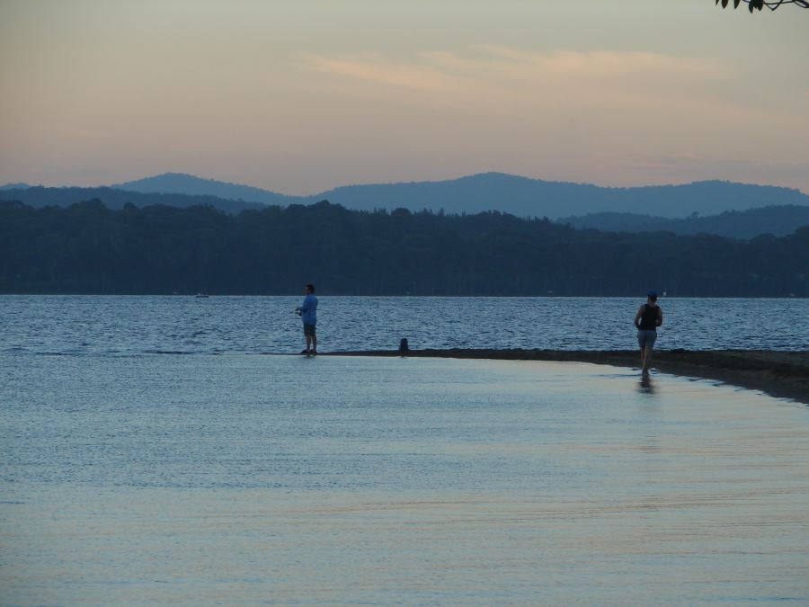 Snap Happy Birding: Shingle Splitters Point: late afternoon photo shoot