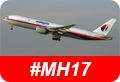 faudzil.blogspot.com: FLIGHT MH17 - Malaysian-born Elaine Teoh one of ...